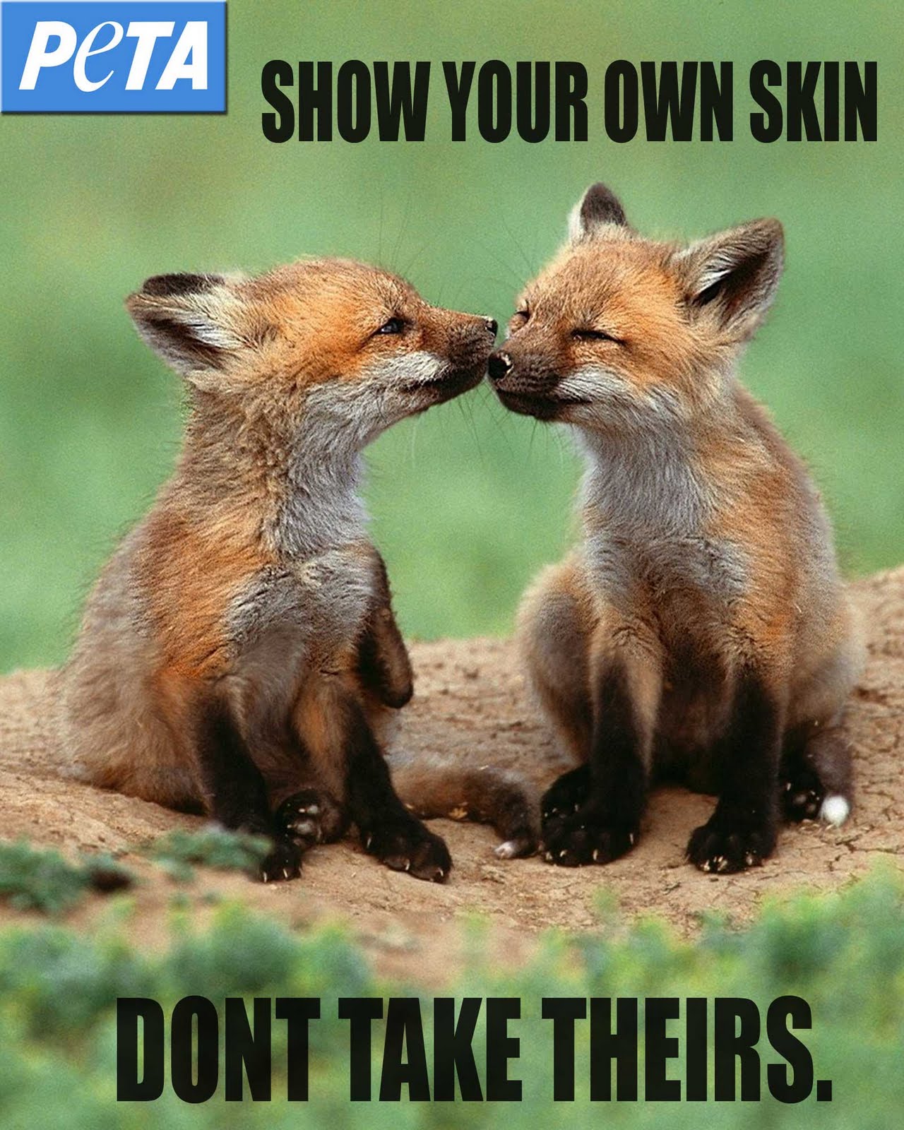 goldys blog: Graphic Design Final Exam