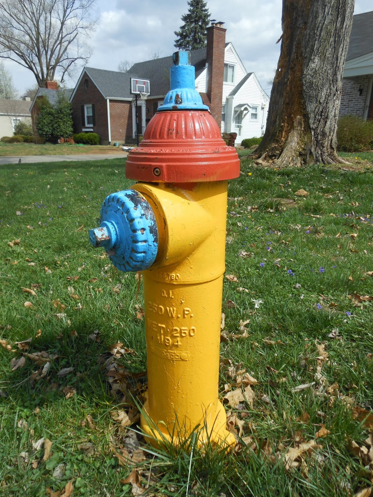 Kathy's Daily Art: Photo suite 101 -- yellow hydrants