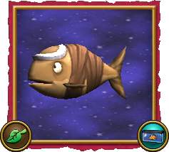 Wizard101 Avalon Fish School, Location, XP, Rank, and Tank Size Guide ...