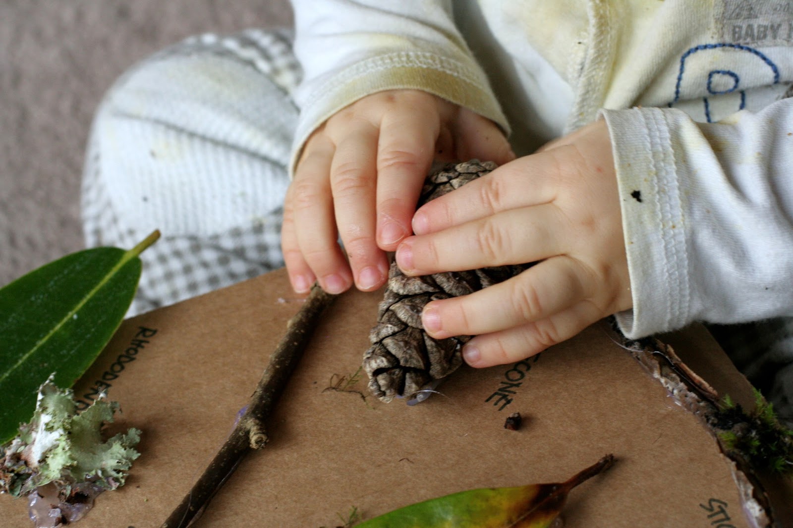 Nature Sensory Board