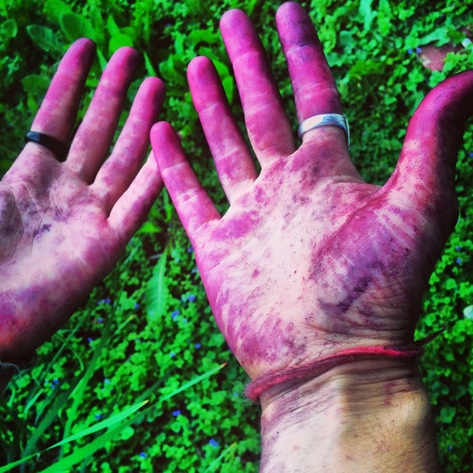 Artemis in the Wilderness