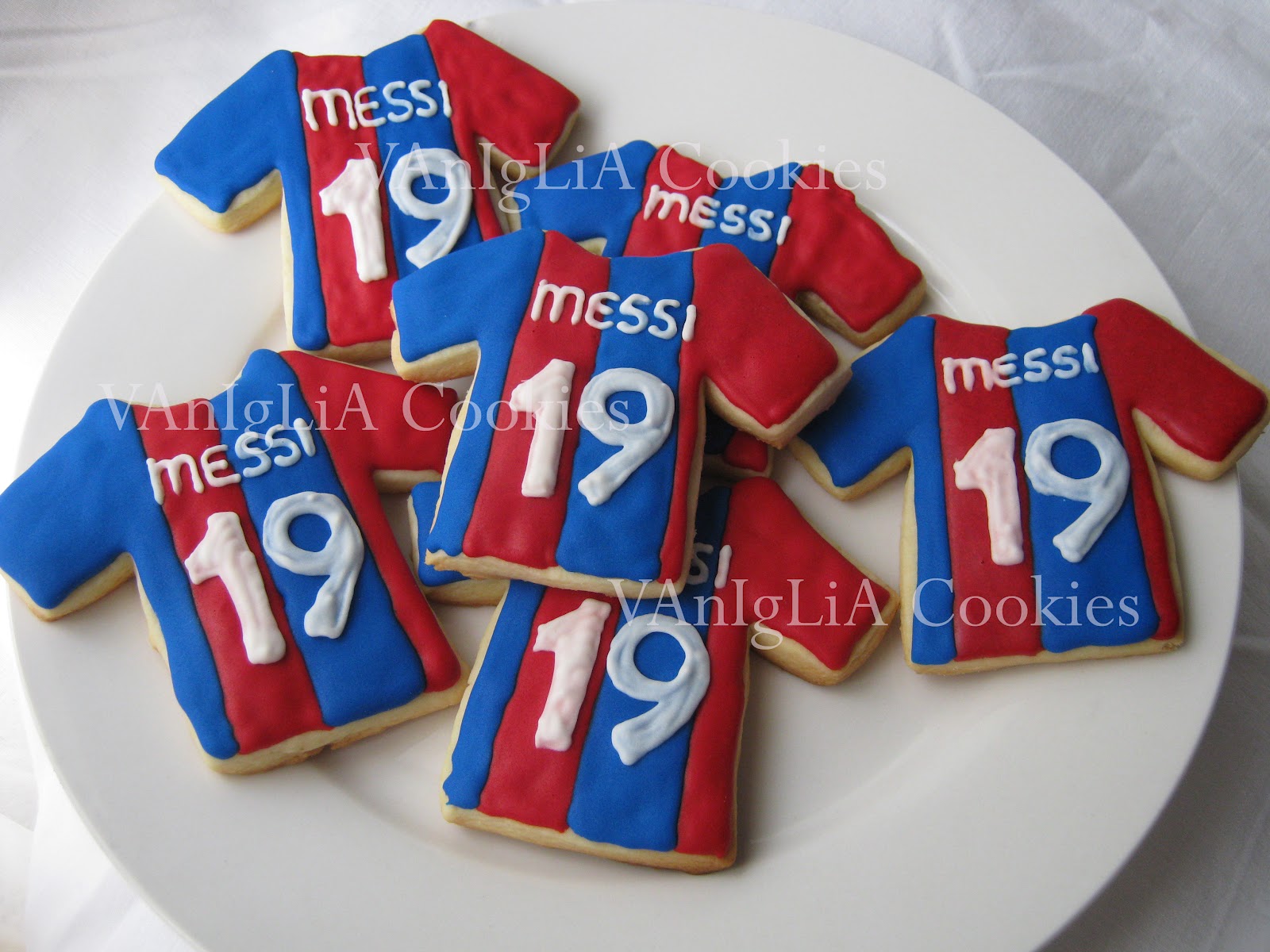 VAnIgLiA: Fanáticos de MESSI