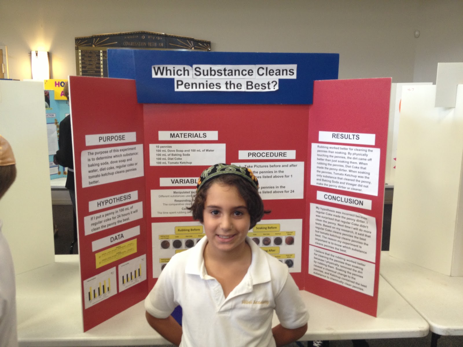 Ms. Social Studies: Science Fair Projects
