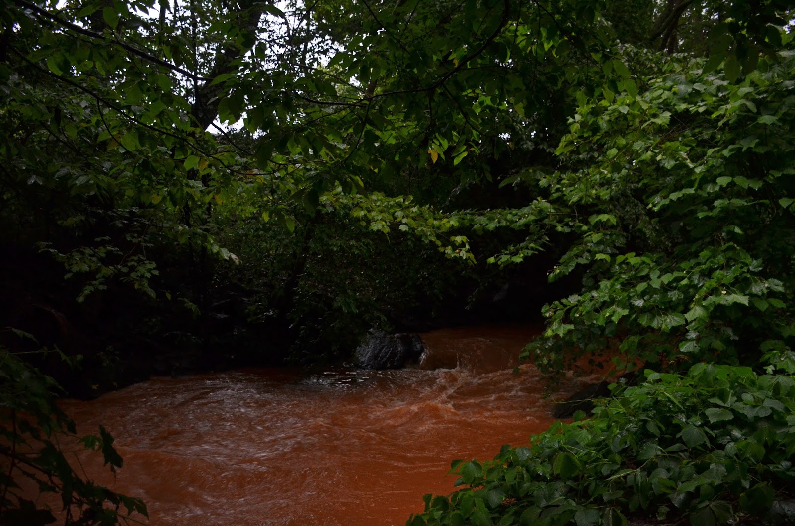 We were mildly surprised to see the water was a bright red orange!