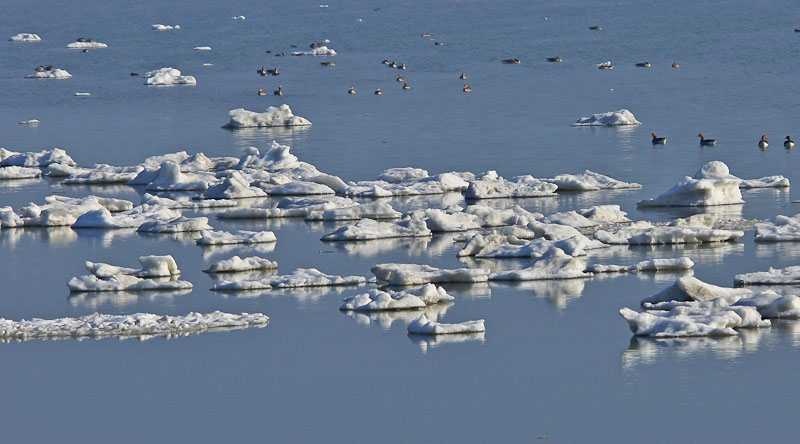 Helma's natuurfoto's: De laatste brokken ijs......