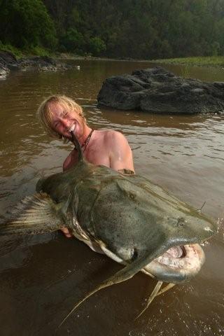 Goonch Catfish Pictures | Giant Devil Catfish - The Goonch Catfish