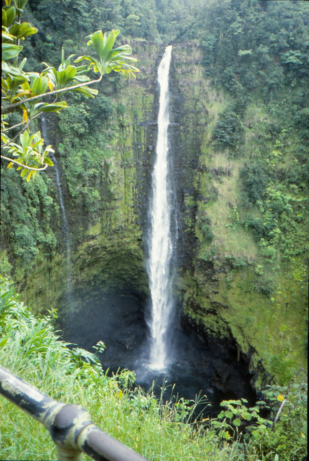 To Behold the Beauty: 1/1/13 - 2/1/13