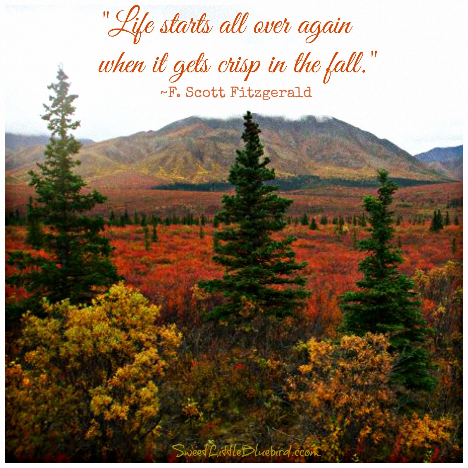 Welcome Back, Autumn! - Sweet Little Bluebird