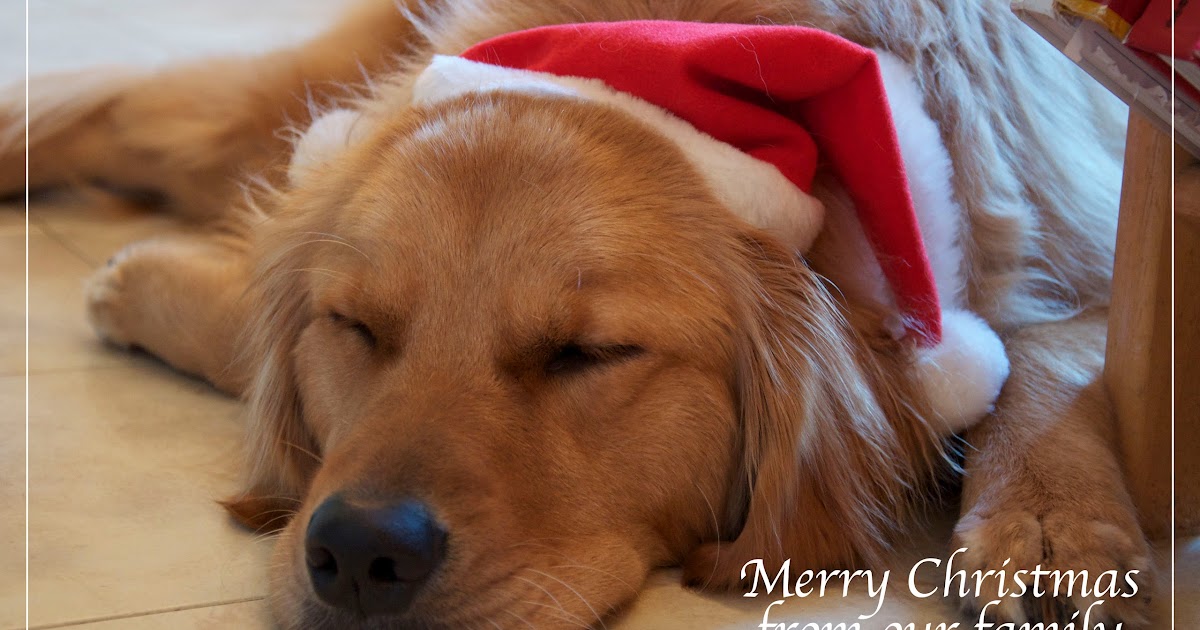 Lorrie's Story: Merry Christmas!!