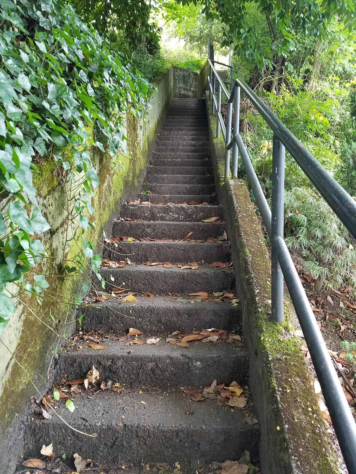 Dave Goes Outside: Portland Stairs Week: Day 1 - The Northwest Passage