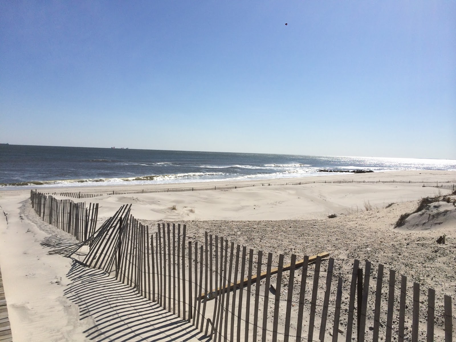 Gone To The Beach: Spring? and the Surfing Beach