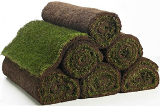 Gazon rulat de calitate superioara la preturi foarte mici