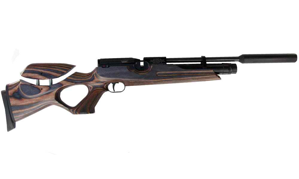 Weihrauch HW100 KT Laminate Adjustable Review and Test