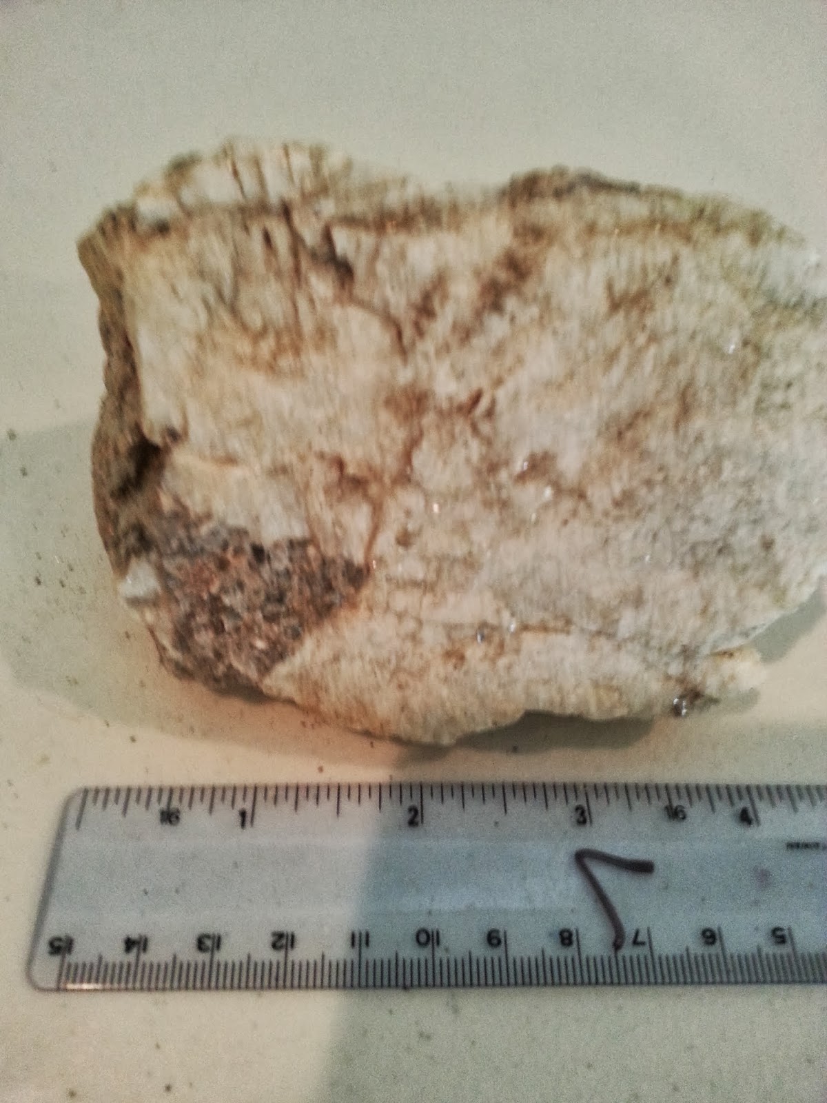 Rockhounding Around: Rockhounding at the Ray Mine, North Carolina