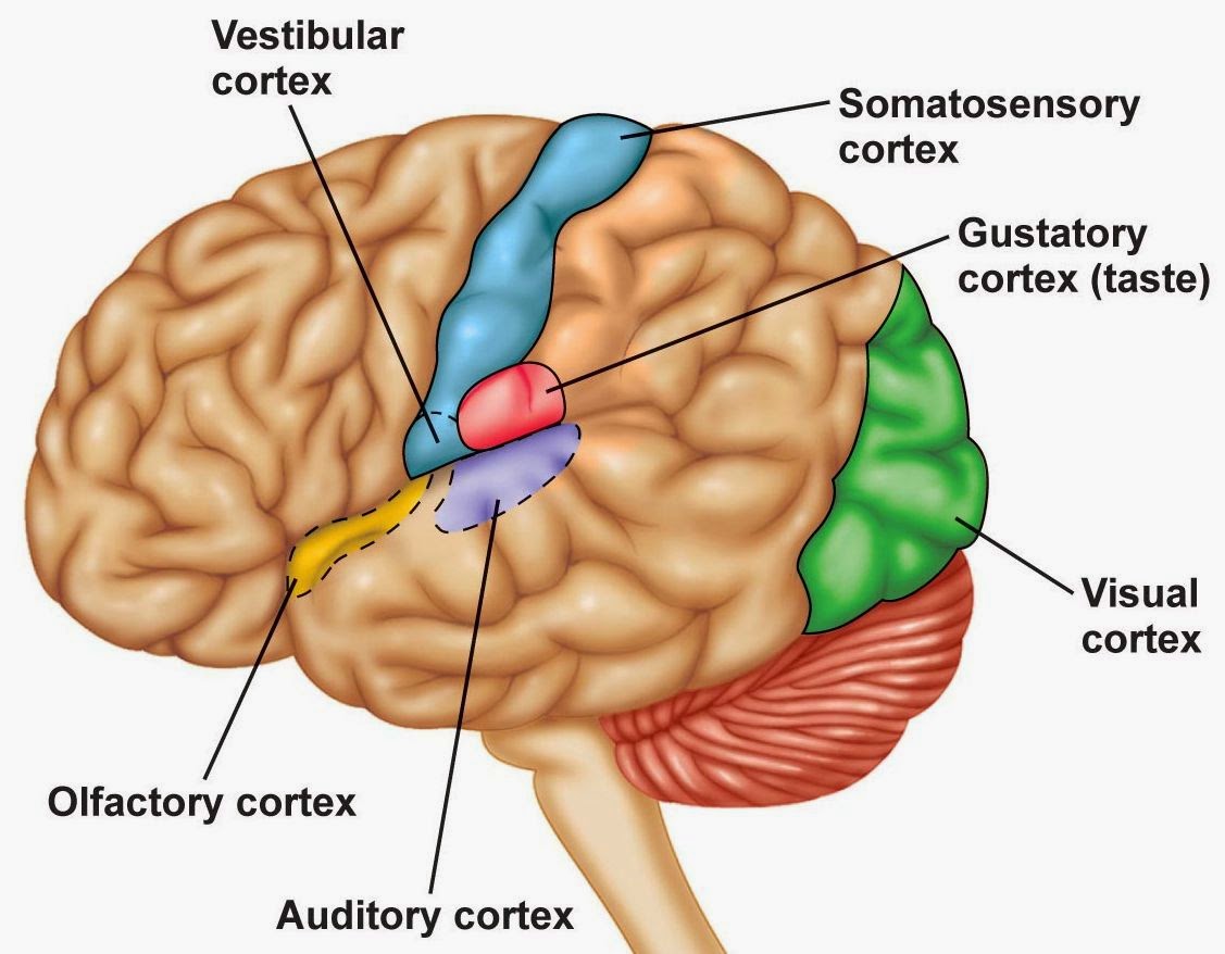 The Body Blog: February 2015
