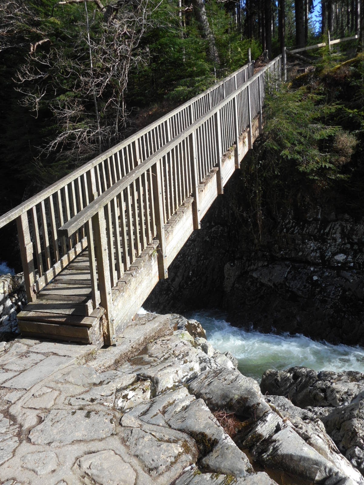 Louise Marley: A Walk on the Wild* Side & The Lonely Knight