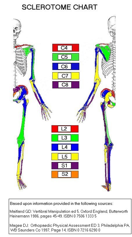 Fisioterapi Indonesia: Control Postural