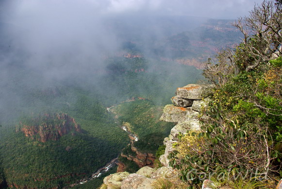 Coral Wild - A Safari Guides Diary: The Green Canyon