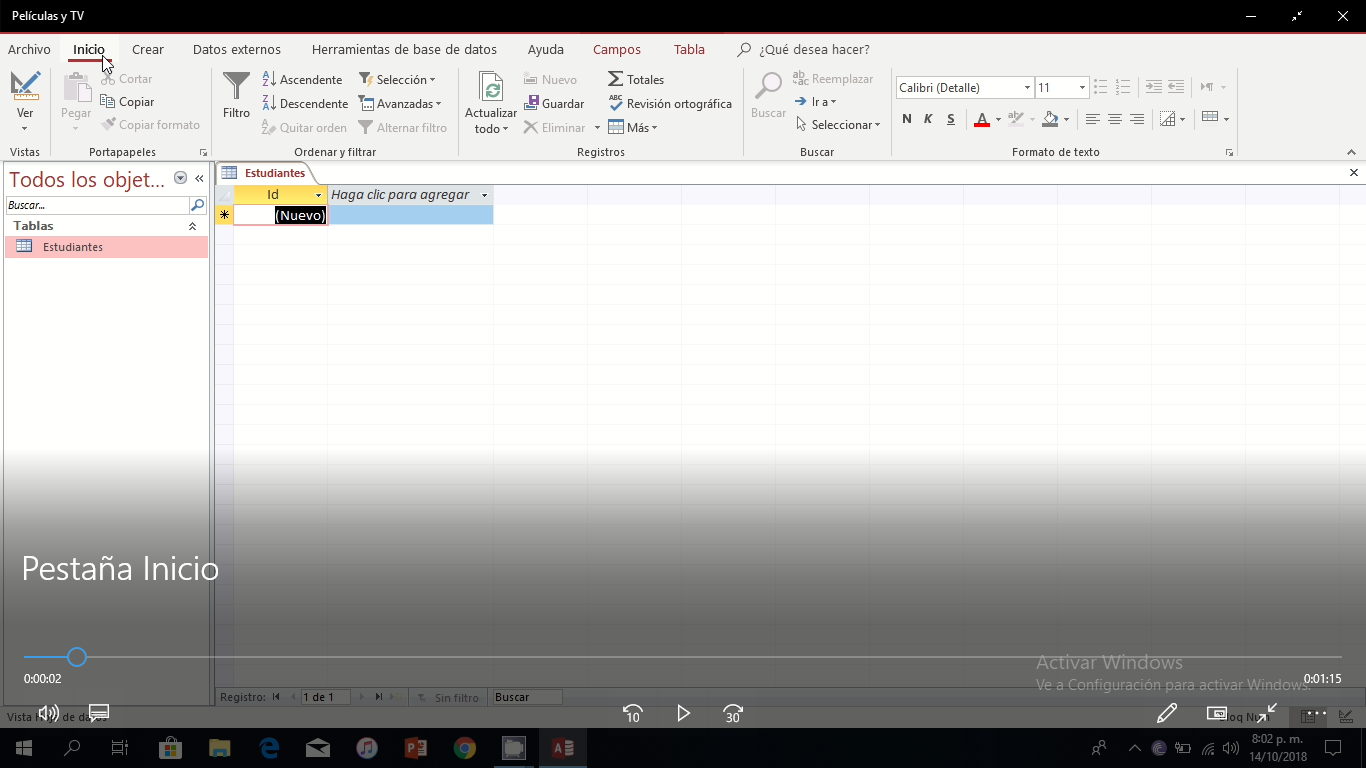 Manejo De Access: Pestaña inicio