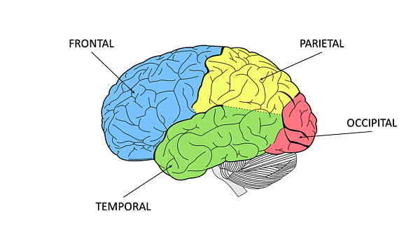 TRASTORNOS DEL LENGUAJE: febrero 2018