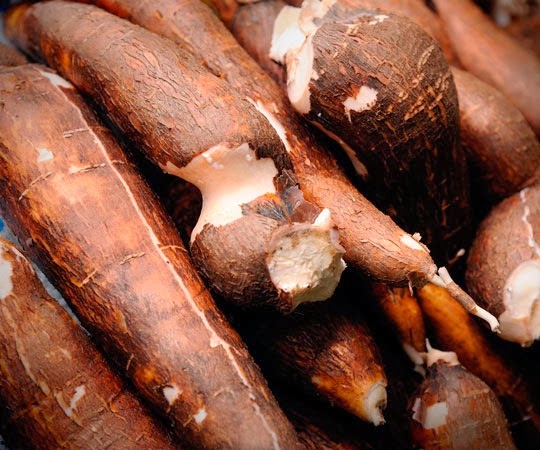 Cuisine de carole: Le manioc: aliment toxique?