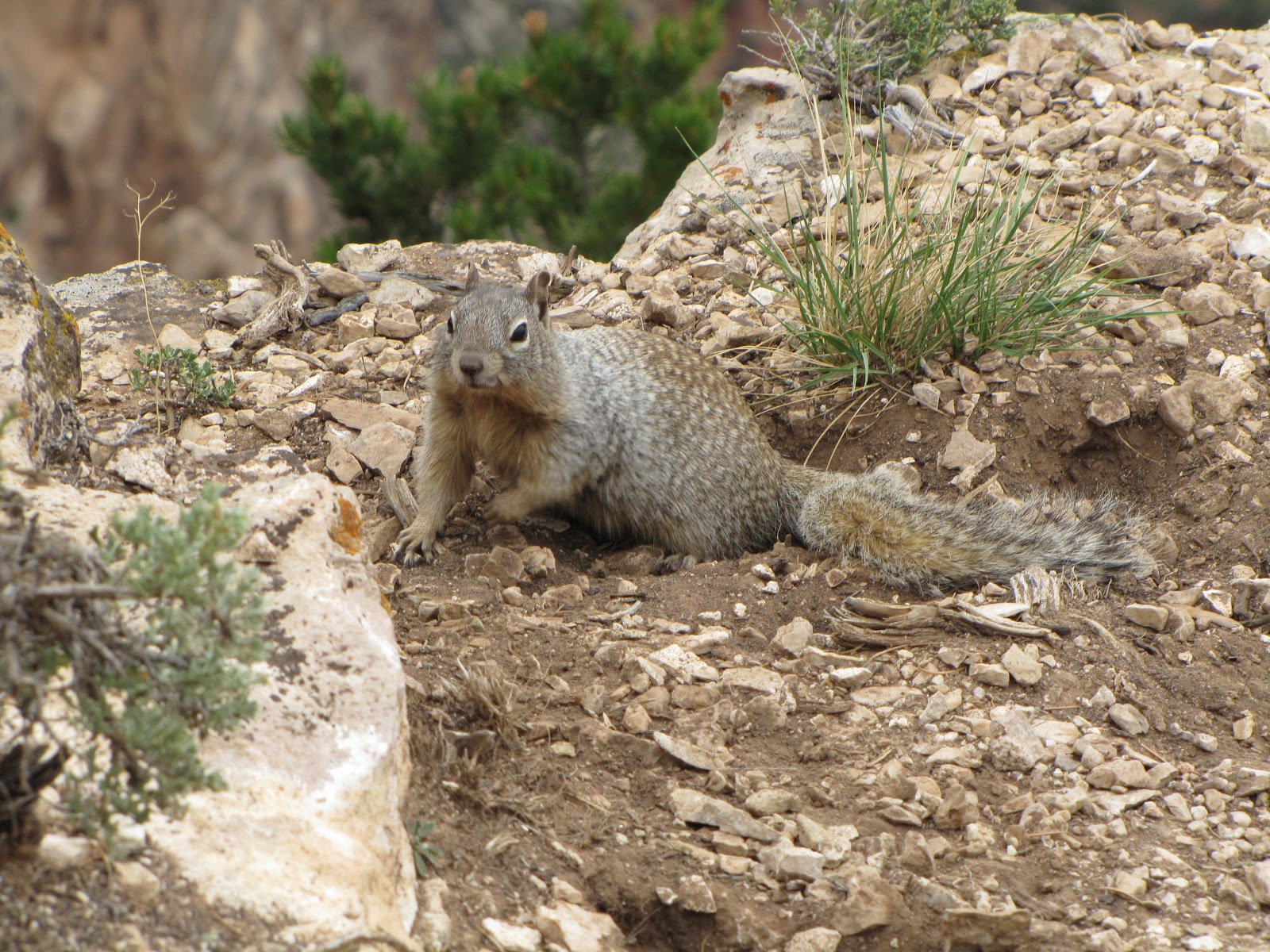 To Behold the Beauty: 10/1/11 - 11/1/11