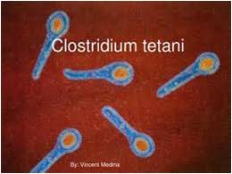 EU SOU ESTUDANTE: Tétano