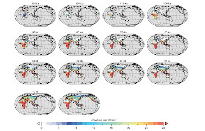 antrophistoria: El Homo sapiens sale de África: nuevos estudios