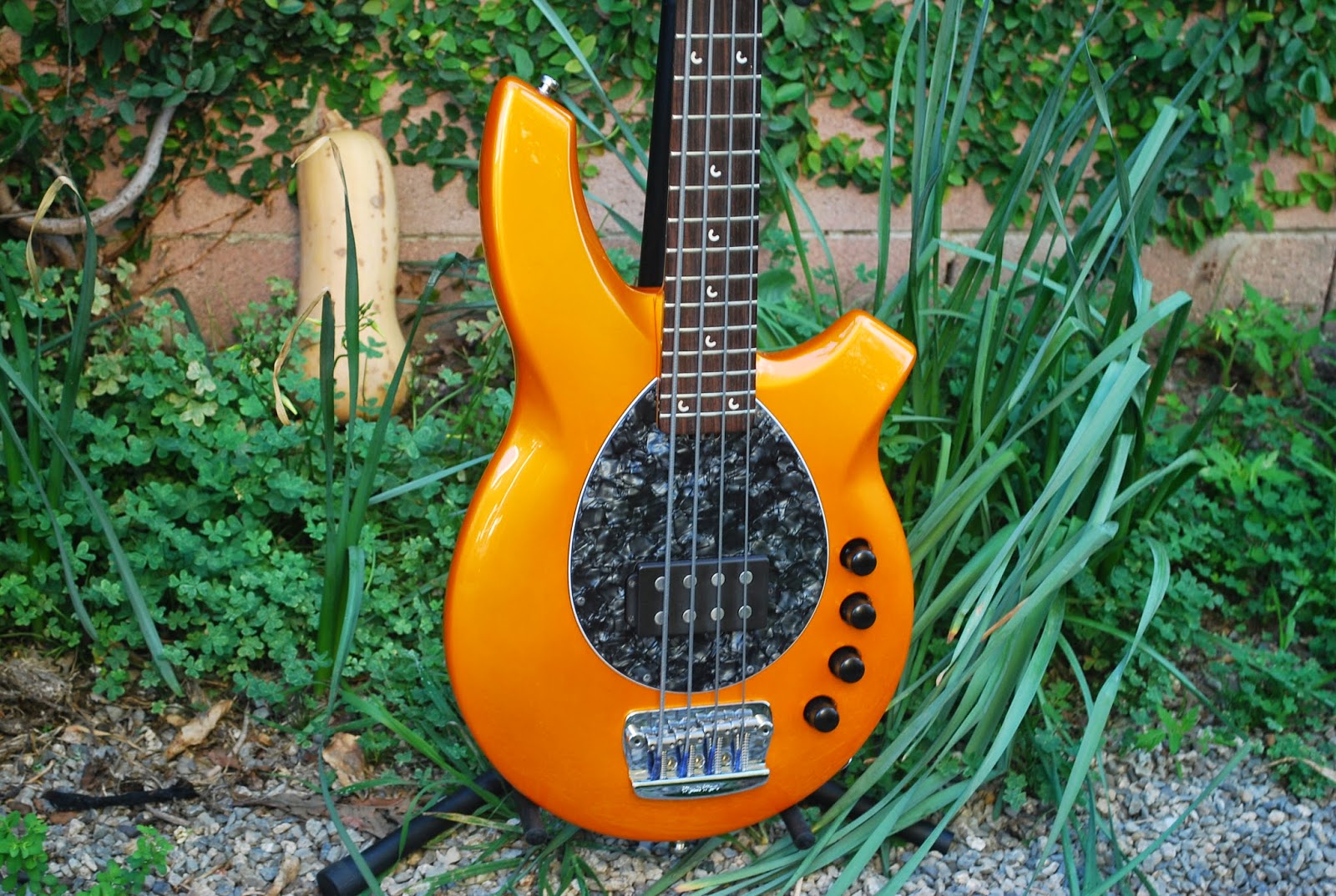 Rex and the Bass: 2006 Ernie Ball MusicMan Bongo Bass Guitar Review