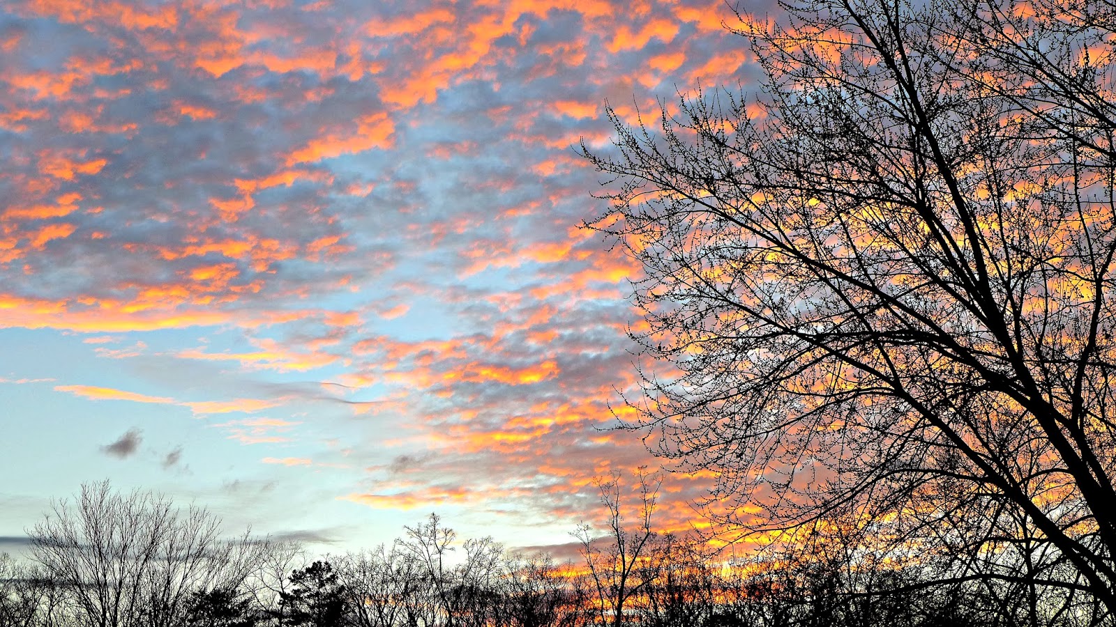 Spun by Me: The Painted Sky