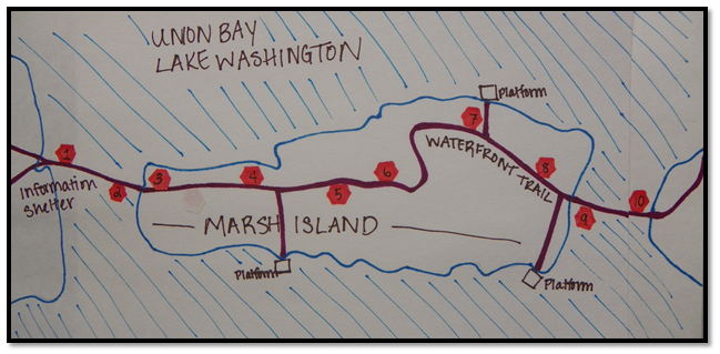 Amanda's Nature Blog: Marsh Island- Take a Walking Tour!