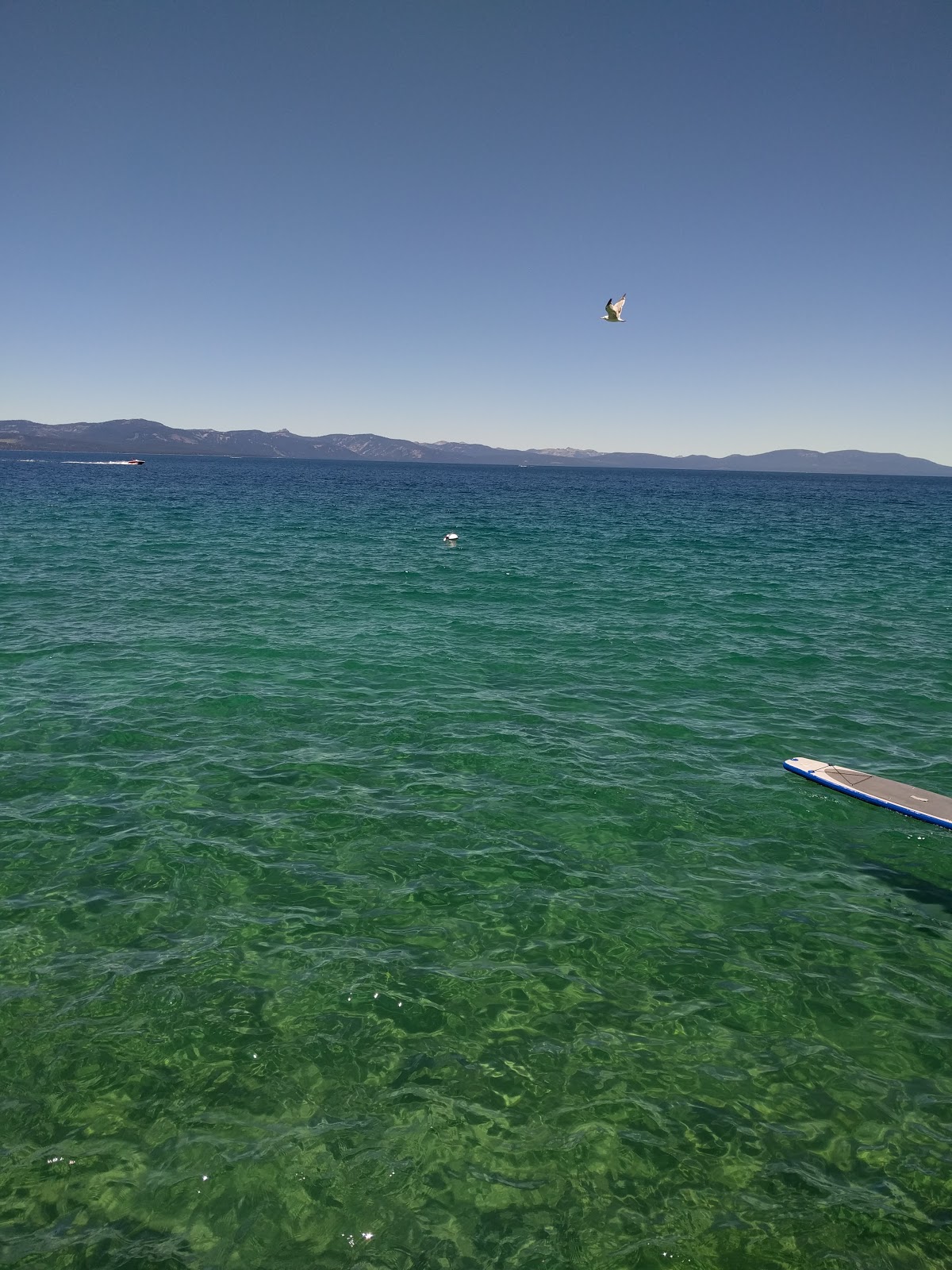 The Nelson Four: Tahoe - Zephyr Point
