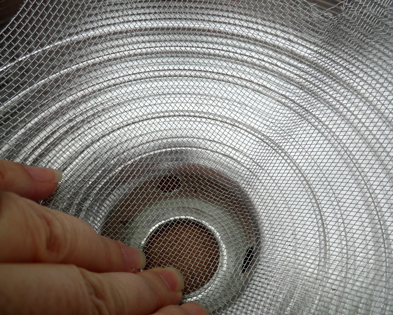 danger garden: Because, as we've discussed, a plant void is BAD