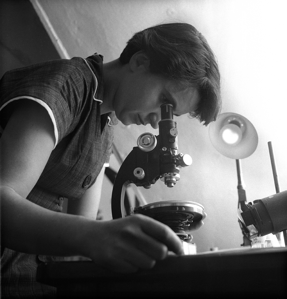 (an)sichten: Rosalind Franklin - Wissenschaft in Perfektion
