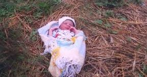 BABY DUMPING: Meaning of baby dumping