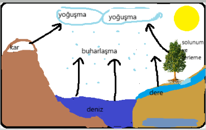 Fen bilimleri: madde döngüleri