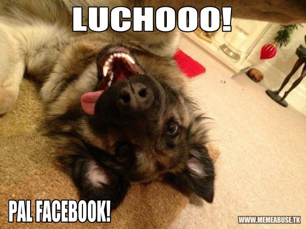 Perro PAL FACEBOOK ~ Meme Abuse