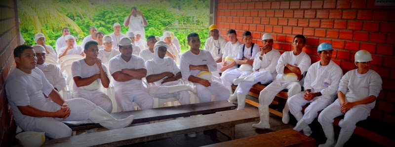 CIPA E FRIGORIFICO RIO MARIA REALIZAM SEMANA INTERNA DE PREVENÇÃO A ...