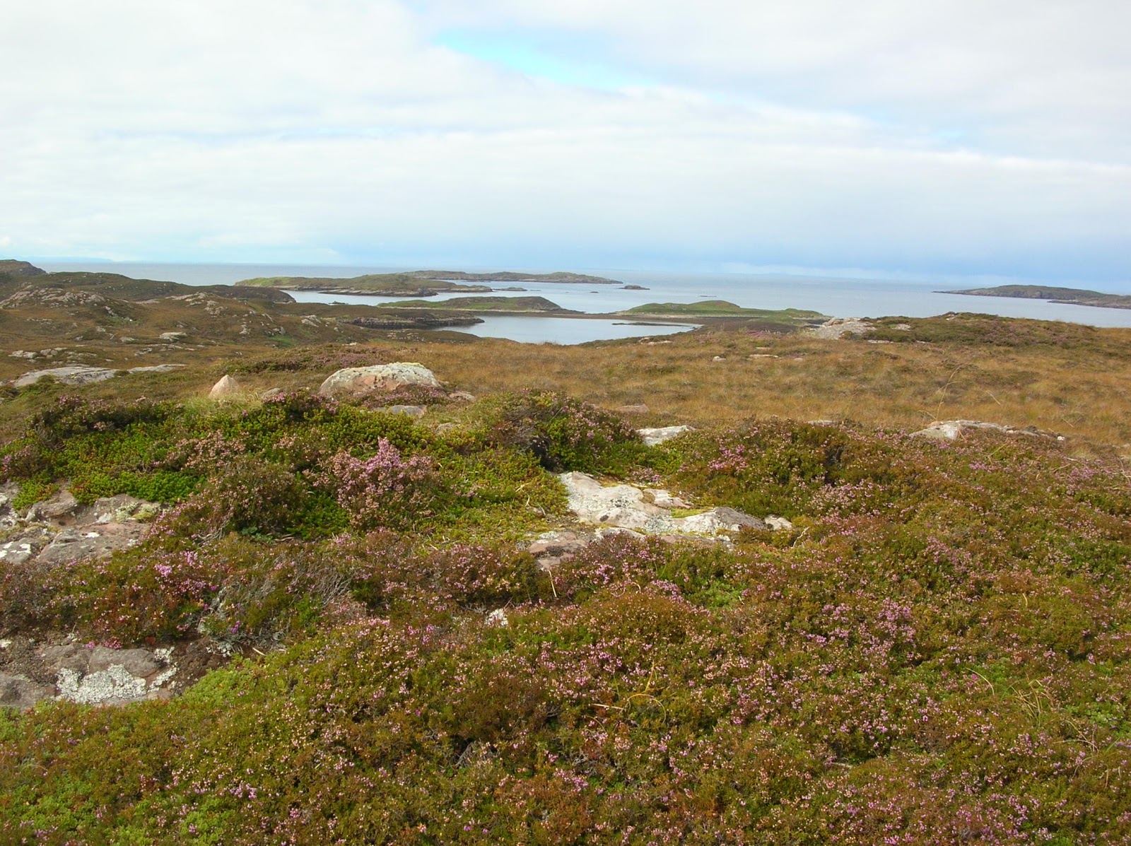 A lifetime of Islands: Island 151 - Tanera Mor, Summer Isles