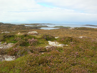 A lifetime of Islands: Island 151 - Tanera Mor, Summer Isles