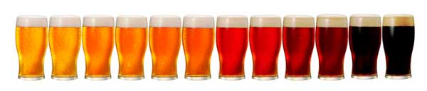 Clasificacion de la cerveza