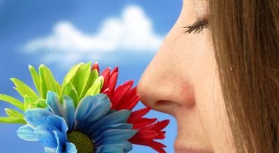 L'odorat: janvier 2014