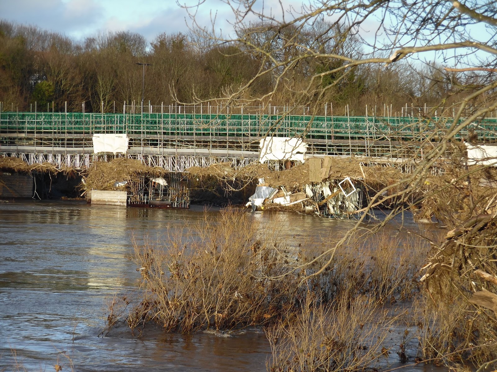 JEN BLACK: Ovingham bridge