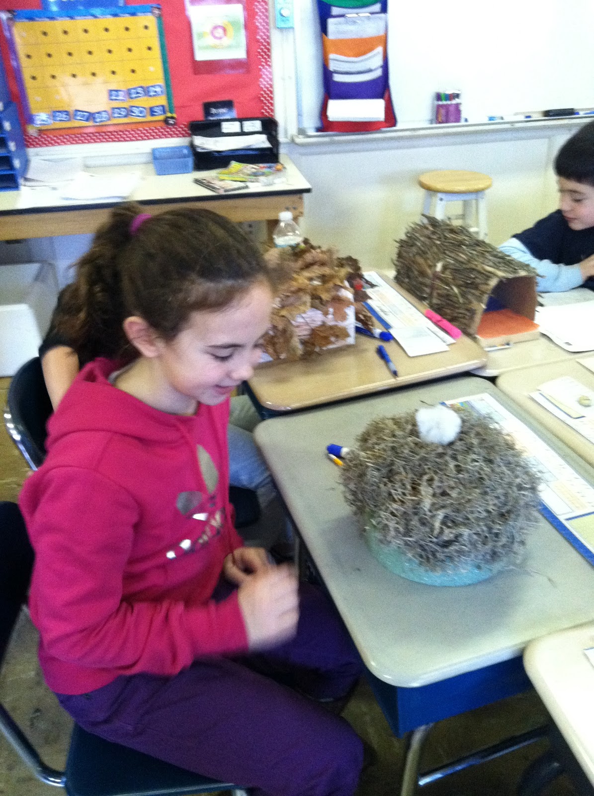 Walton School Blog: Third Grade Long Houses