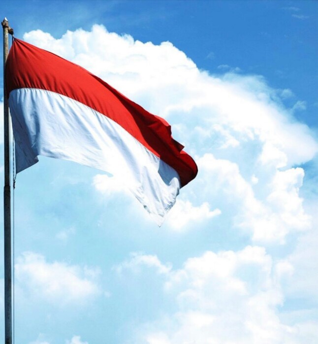 Sejarah, Arti, Tata cara penggunaan dan kiasan sang Merah Putih