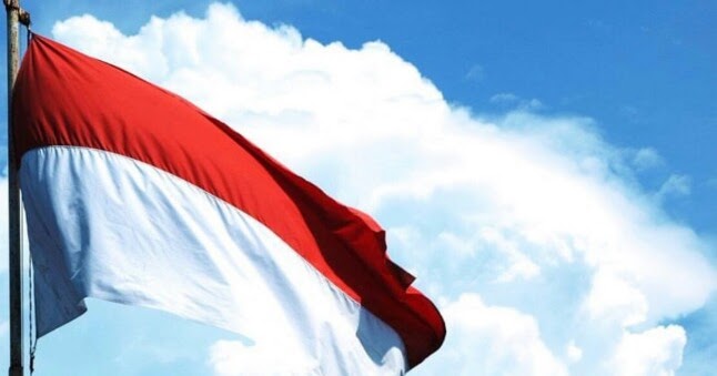 Sejarah, Arti, Tata cara penggunaan dan kiasan sang Merah Putih