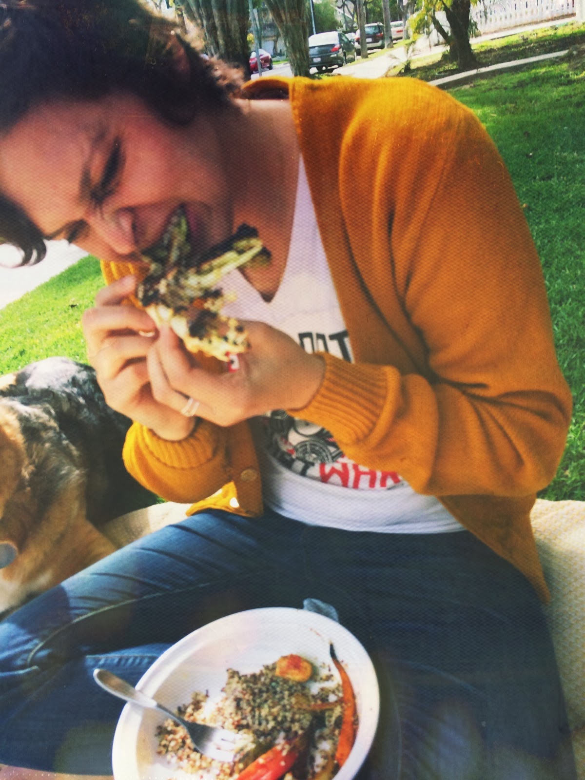 40 days fresh: Day #3 day off with an impromptu picnic dazzling delight