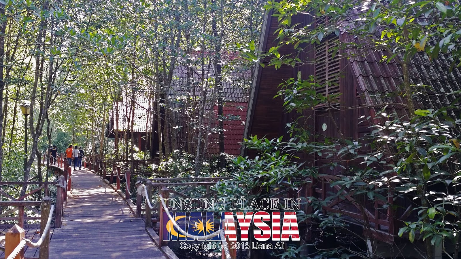 Jalan² ke Hutan Paya Laut Matang, Perak