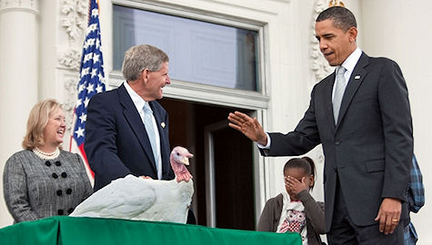 The Presurfer: The History Of Presidential Turkey Pardoning