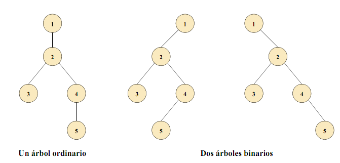 Estructura de Datos